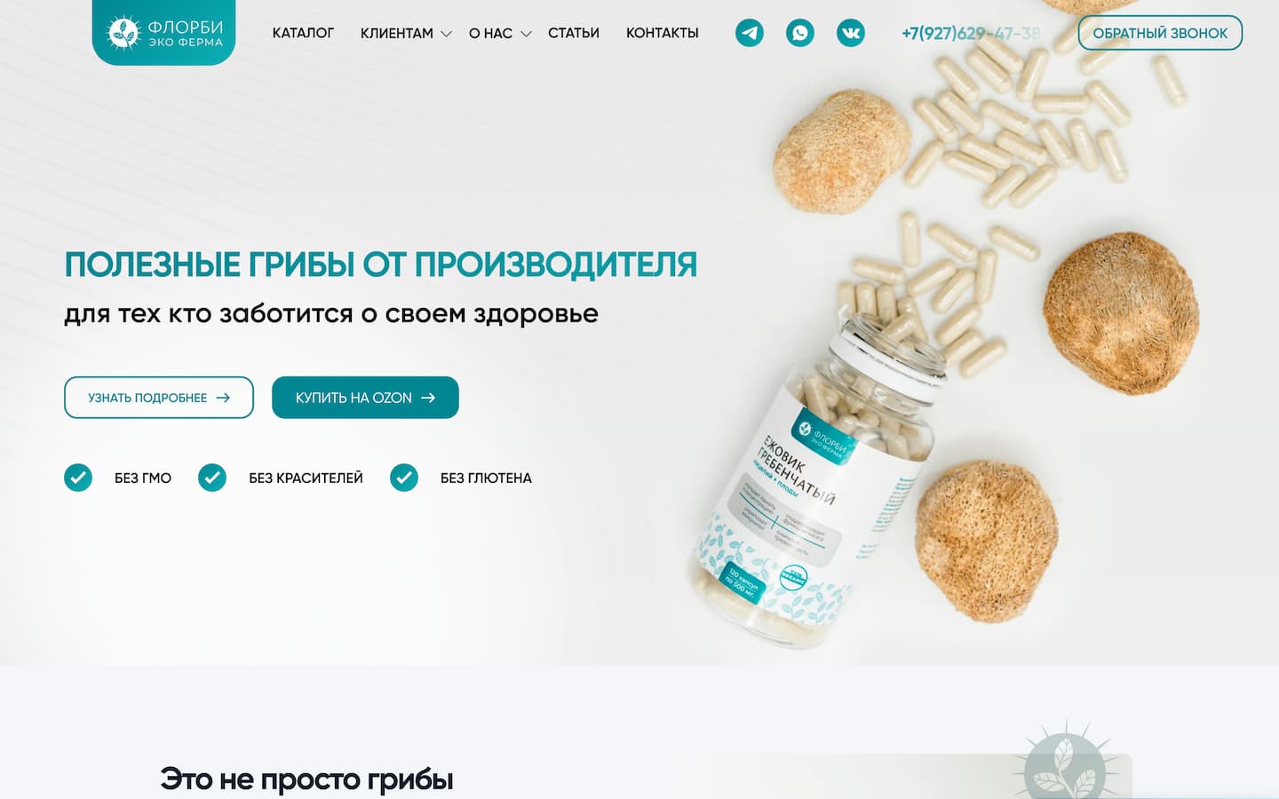Флорби - купить Ежовик гребенчатый в интернет-магазине florbi.ru
